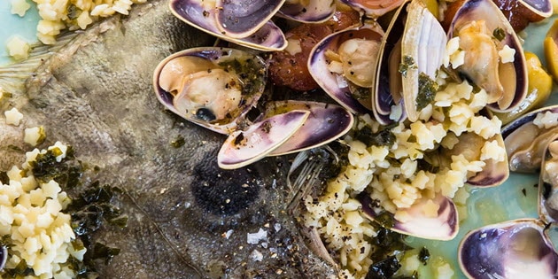 Steamed John Dory with Pippies & Chorizo | Electrolux NZ