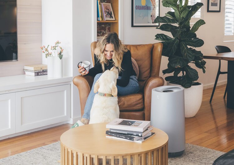 How To Wash Shoes In A Washing Machine | Electrolux